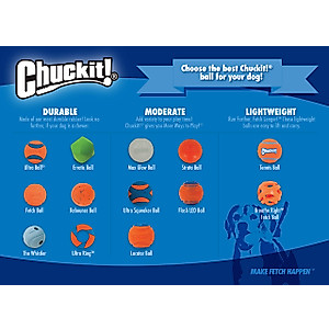 Chuckit! Pro 26L Dog Ball Launcher, 26" Length, Includes Large Ball (3") For Dogs 60-100 Pounds
