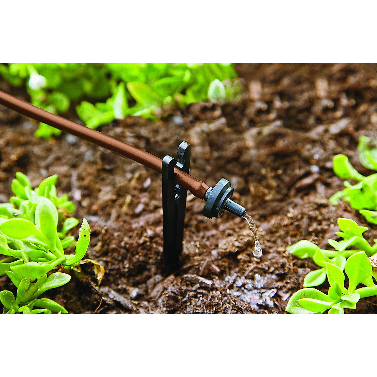 Raindrip SDFSTH1P Automatic Drip Irrigation Watering Kit with Timer for Flowers, Shrubs, and Trees, Waters up to 10 Plants, Includes Timer with Customizable Settings, 2 GPH Drippers