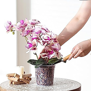 TRUEDAYS 4 Pack Orchid Pot 5 Inch Clear Plastic Plant Pots with Drainage Holes for Indoor Outdoor Plants