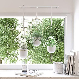 Umbra 1011748-524 Triflora Hanging Planters for Indoor Plants or Herbs, White/Brass,42" Width