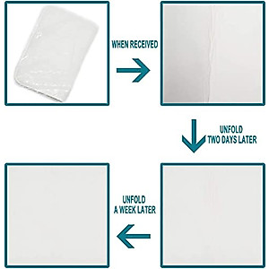 Custom Personalized Welcome Frog and Lily Pad Non-Slip Absorbent Resist Dirt Doormat Entrance Rug Inside Floor Mats for Home Bedroom Kitchen Front Porch 18"x30"