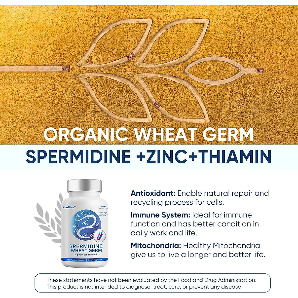 Zenlifer 120 Capsules Spermidine Wheat Germ 1500mg, Spermidine Supplements Wheat Germ Extract with Zinc for Antioxidant and Healthy Aging, Cell Renewal and Immune