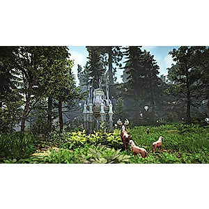 Black Desert: Prestige Edition - PlayStation 4