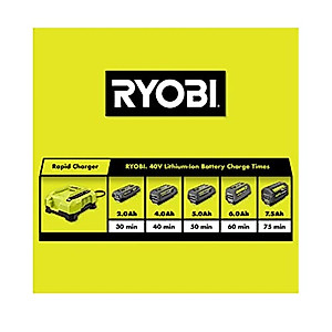 RYOBI - 40V Lithium-Ion Rapid Charger - OP406AVNM