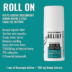 Instant Pain Relief Roll-On with 4% Lidocaine・230400mg Hemp Extract (=300mg KannopiaActive)・Post Surgery & Injury Support・Arnica・Doctor Recommended for Nerve・Joint・Sciatic Health・Free Sample* (2Pack)