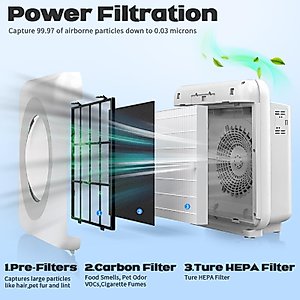 2 Pack Airmega AP-1512HH Filter Replacement Compatible with Coway Airmega AP-1512HH and Airmega 200M, with 2 True HEPA Filter and 8 Carbon Pre-Filters, Replace Part # 3304899