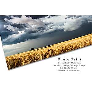 Country Photography Print (Not Framed) Picture of Storm Clouds Gathering Over Golden Wheat Field on Spring Day in Kansas Western Wall Art Farmhouse Decor (11" x 14")