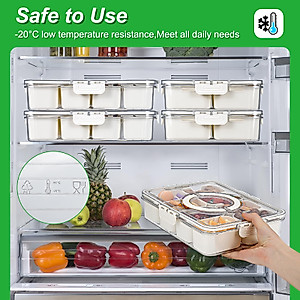 Divided Serving Tray Snack Platter Container with Lid & Handle, 8 Compartments Portable Food Fresh-Keeping Storage Box Vegetable Organizer for Refrigerator Perfect for Party & Picnic