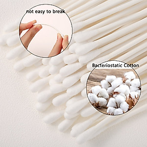 400 Pcs Cotton Swabs Cotton Tipped Applicator Double Tipped with Cardboard Handles (Pointed and Spiral Tip, Pointed and Round Tip)