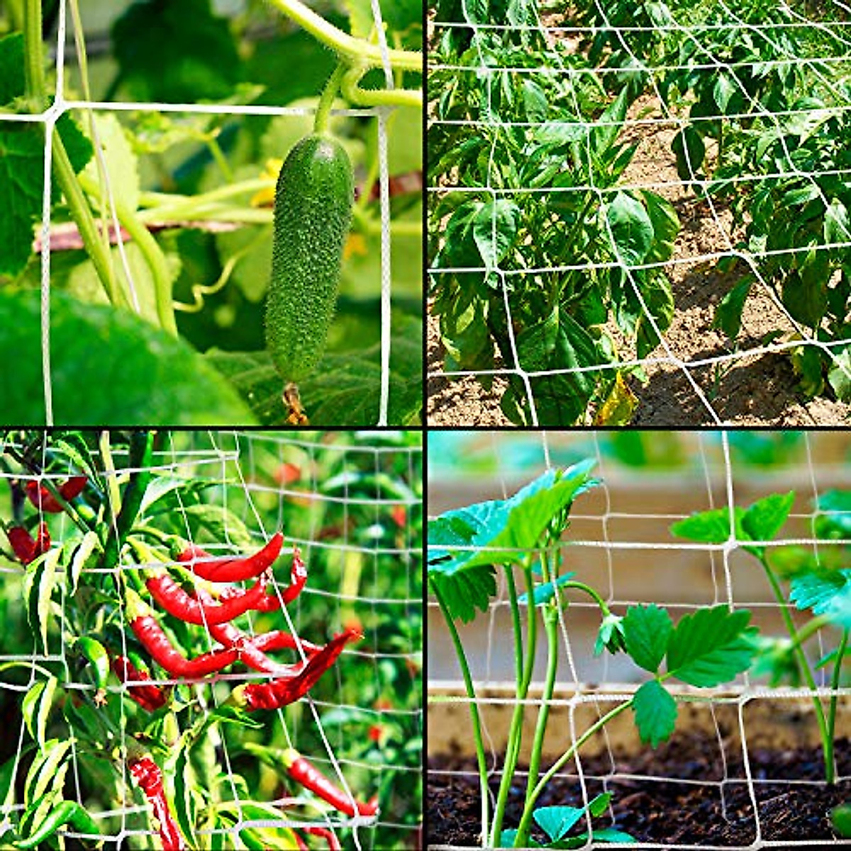 Rural365 Mesh Plant Trellis Net 5x350ft Roll, Growing Support Trellising Bean, Pea, Climbing Plants Scrog Garden Netting