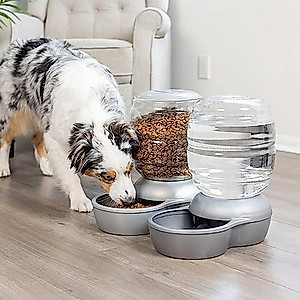 Petmate 24528 Replendish Feeder Automatic Cat and Dog Feeder, Pearl Peacock Blue, 10 LB