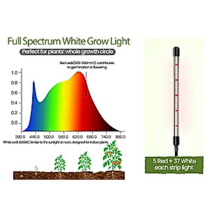 [Upgraded Light] Seed Starter Kit with Grow Light - Durable Seed Tray, 60 Cell Seed Starting Tray, Humidity Dome for Seed Growing Germinating, Seedling Starting, Cutting Clone & Plant Propagation Kit