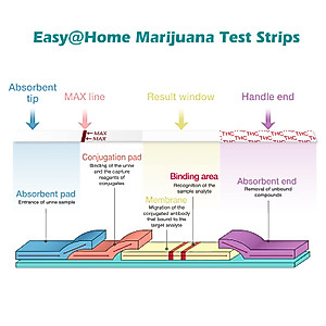 Easy@Home THC Test Strips: Urine Test Kit - Detect Metabolites in Urine with Cutoff Level 50ng/mL- 10 Pack ESTH-115