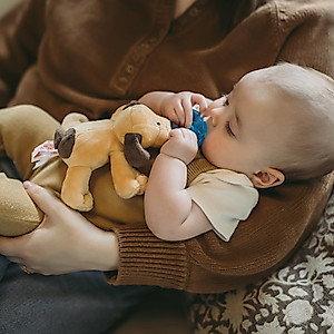 WubbaNub Infant Pacifier - Brown Puppy