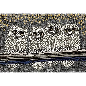 Liora Manne Frontporch Indoor Outdoor Rug - Novelty Design, Hand Hooked, Weather Resistant, UV Stabilized, Foyers, Porches, Patios & Decks, Owls, 2' x 3'
