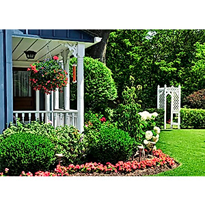 FLY GUARD 1155-10-EC Ready to Use Indoor/Outdoor Fly Catcher Glue Stick 10-3/8"L, Hang/Stnd, 10/PK, Yellow