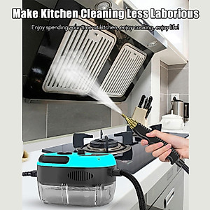 Ailgely 2500W High Temperature Pressurized Steam,Handheld Steam Cleaners for Home Use,Portable Steam Cleaning Machine,10S Fast Heating,with 3 Brush Heads (Blue)