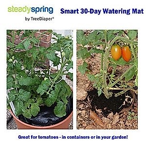 SteadySpring by TreeDiaper Smart 30-Day Watering Mat for Tomato Plants, Peppers, Veggies, Perennials, Annuals - Self-Fills with Rain (1)