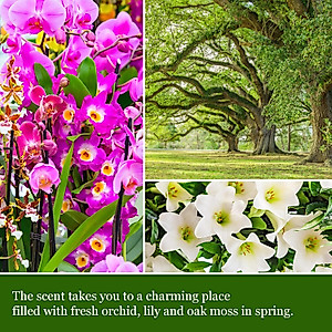 Boss Lady Gifts for Women Boss Gifts Funny Birthday Christmas Gifts for Boss, Gag Cool Office Christmas Gifts for Coworkers Thank You Appreciation Gifts for Boss Office Decor, Boss's Last Nerve Candle