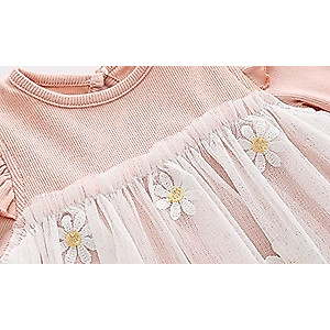 Toddler Baby Girls Dresses Infant Flower Embroidery Tulle Dresses Long Sleeve Newbron Baby Girls Clothes Outfit, 12-18M