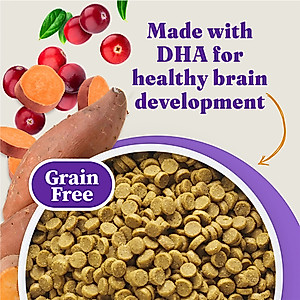 Halo Holistic Kitten Food Dry , Grain Free Wild - caught Salmon and Whitefish Recipe, Complete Digestive Health , Dry Cat Food Bag , Kitten Formula, 6-lb Bag