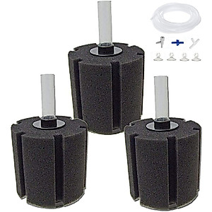 AQUAPAPA Bio Sponge Filter for Betta Fry Aquarium Fish Tank Up to 60 Gal ea. 3-Pack (L)