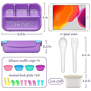 QQKO Bento Lunch Box for Kids Girls Boys, Toddler Kids Lunch Boxes for School, Lunch Containers for Adults Kids with 4 Compartments, Sauce Container, Utensils, Food Picks and Muffin Cups, Purple