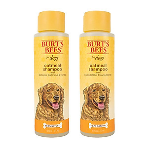 Burt's Bees for Dogs Natural Oatmeal Dog Shampoo with Colloidal Oat Flour & Honey | Moisturizing Oatmeal Dog Shampoo | Cruelty Free, Sulfate & Paraben Free, pH Balanced for Dogs -16 Oz 2 Pack