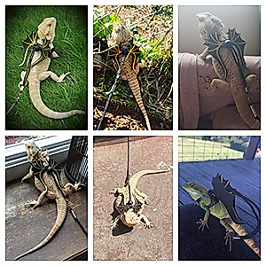 ADOGGYGO Bearded Dragon Lizard Leash Harness - 3 Size Pack Dinosaur Wing Lizard Harness Leash for Bearded Dragon Lizard Reptiles