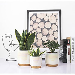 Gepege White Indoor Pots for Plants, Ceramic Planter with Drainage Hole, 6.0 inch+5.0 Inch+4.0 Inch. Succulent Orchid Flower Pot - Rainbow Pearl Glaze