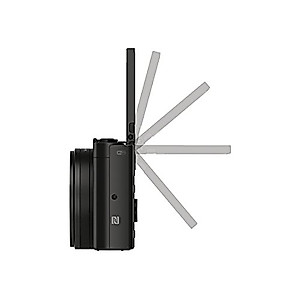 Sony Cyber-shot DSC-WX500 Digital Camera (Black) Bundle [Japan Import]