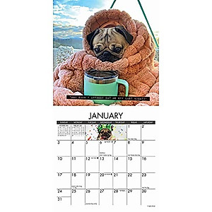 Doug the Pug 2021 Mini Wall Calendar (Dog Breed Calendar)