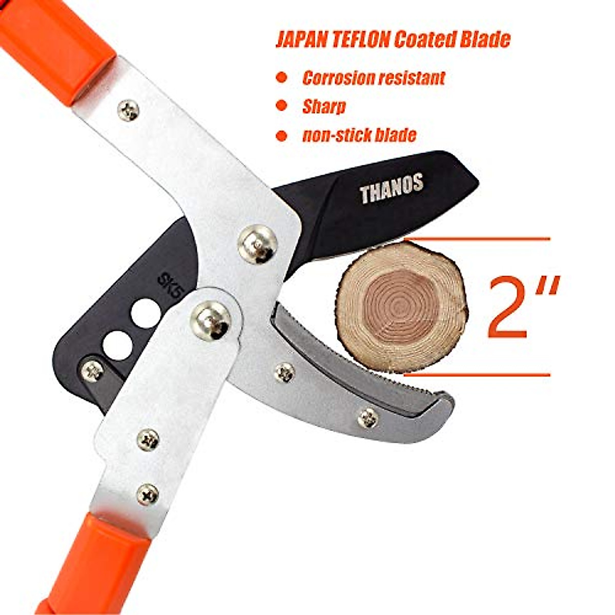 THANOS A1101 Extendable Anvil Loppers Tree Trimmer with Compound Action,Chops Thick Branch Ease,28-40'' Telescopic Heavy Duty Branch Cutter,2 inch Clean Cut Capacity.