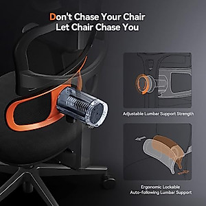 Newtral Ergonomic Desk Chair with Fully Adaptive Lumbar Support - Home and Ofiice Chair for Back Pain with 4D Armrest, Adjustable Headrest, Mesh Back, Tilt Lock, Computer Task Chair