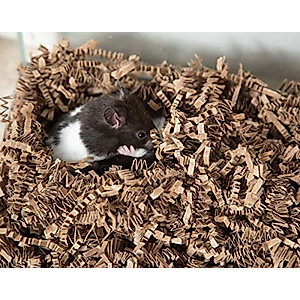 ECO BEDDING FiberCore Box, Brown, 10 lb