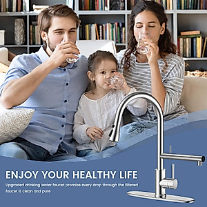 Kitchen Faucet, 2024 Upgraded Filter Water Kitchen Faucet with Pull Down Sprayer, Brushed Nickel Stainless Steel High Arc 1 Or 3 Hole Kitchen Sink Faucet for Remove Chorine and Harmful Substances