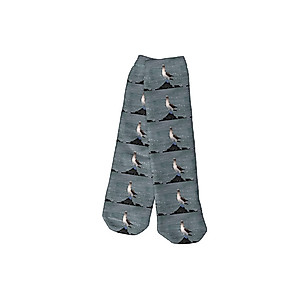 SpreadPassion Blue Footed Booby Sula Nebouxii Galapagos Socks - Galapagos Novelty Socks - Soft and ultra-comfortable Birthday Gifts Socks