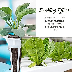 12 Set Seed Pod Kit for AeroGarden, Hydroponics Garden Accessories for Hydroponic Growing System, Grow Anything Kit with 12 Grow Sponges, 12 Grow Baskets, 12 Grow Domes,100ml Plant Food