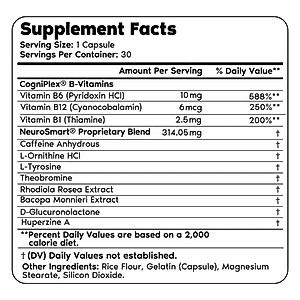 Primal Harvest Primal Mind Fuel & Multivitamin Supplements for Women and Men Multi Vitamin Capsules and Mind Fuel Brain Booster Pills Bundle