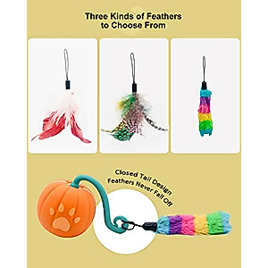 RRETECK Automatic Moving Cat Toys, Cute Interactive Cat Toys for Indoor, Cats Ball Bundle + Feather Kitten Toys in Pack. Smart Electric Teaser Cat Feather Toys, USB Rechargeable, 3 Feathers