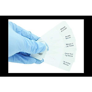 Prepared Animal Plant Cell Mitosis Meiosis Amitosis Comparison Microscope Slides Set, 5pcs Specimens to Display with Students in Biology Class (Mitosis & Meiosis)