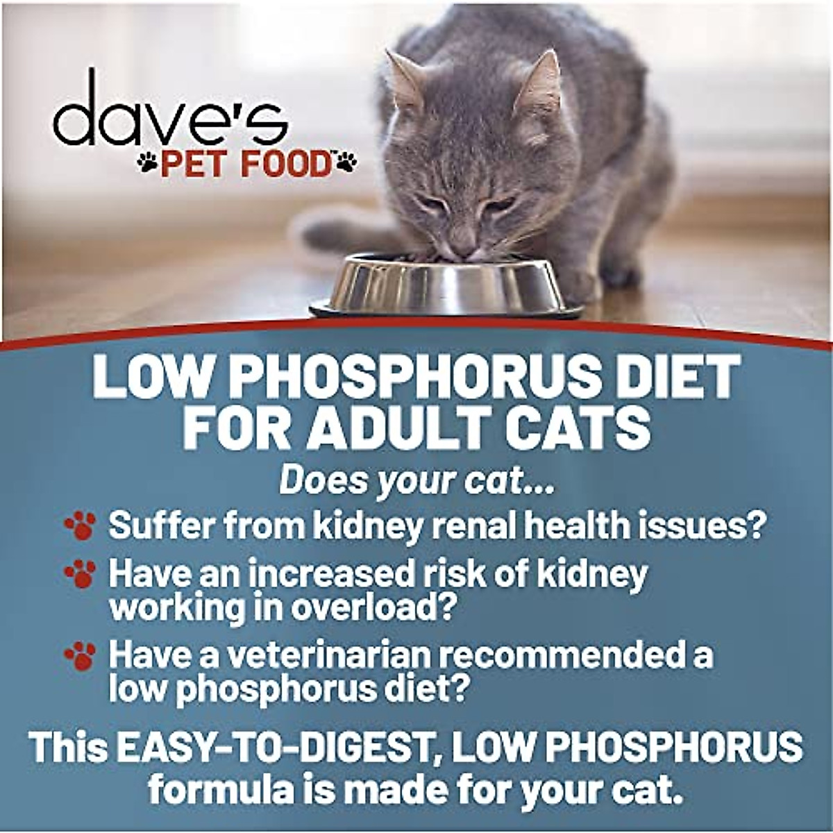 Dave's Pet Food Kidney Support Wet Canned Cat Food for Renal Health (Chicken Liver & Chicken Pate), Non-Prescription Low Phosphorus Restricted Diet 5.5 oz,(24 Pack)