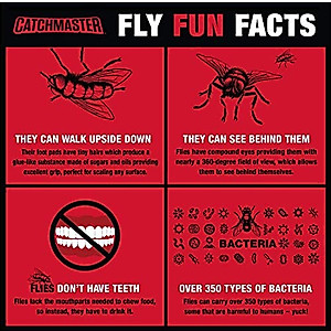 Catchmaster Fly Trap Bundle, Gold Stick 4-Pack & Outdoor Fly Jar 6-Pack, for Garage, Backyard, Pool, Patio & Camping