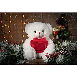 HollyHOME Teddy Bear Stuffed Animal Plush Bear with Red Bow Holding a Picture Frame Soft Plush Toy Christmas Valentine's Day Gift 12 Inches White