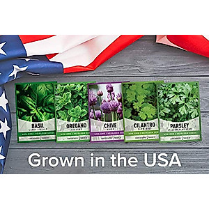 Culinary Herb Seeds For Planting Indoors and Outdoors 5 Herbs Seed Packets Including Basil, Cilantro, Chives, Oregano, and Parsley - Great for Kitchen Herb Garden Heirloom Herb Seeds - Gardners Basics