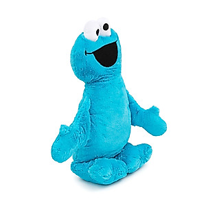 Jay Franco Sesame Street Plush Stuffed Cookie Monster Large Pillow Buddy - Super Soft Polyester Microfiber, 22 inch (Official Sesame Street Product)