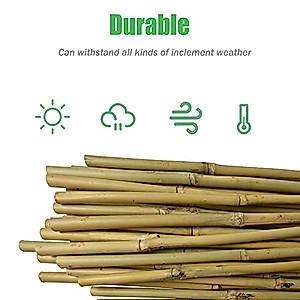 Jollybower 16 in Bamboo Stakes, Plant Stakes, Natural Garden Stakes for Tomato, Bean, Flowers,Trees Potted and Climbing Plant Support-Pack of 30 Bamboo Stick, Diameter of 1/4”