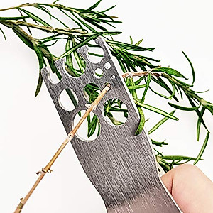 Set of 2 Stainless Steel Herb Stripper, Kitchen Gadgets Tools for Kale,Chard,Mint,Thyme, Basil,Collard Greens,Rosemary and More (2 PCS Stripper Herb)