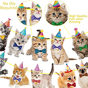 Cat Birthday Banner Decorations Kitten Birthday Party Decorations Supplies Gold Glitter Cat Happy Birthday Banner Decorations for Pet Kitten Theme Birthday Party Bunting Decorations Supplies