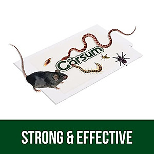 Garsum Sticky Mouse Trap, Peanut Butter Scent Glue Traps, Heavy Duty Pest Board Insect Spider Mice, Extra Strength Trampas para Ratones Indoor for Home, 10/20/40/80 Packs